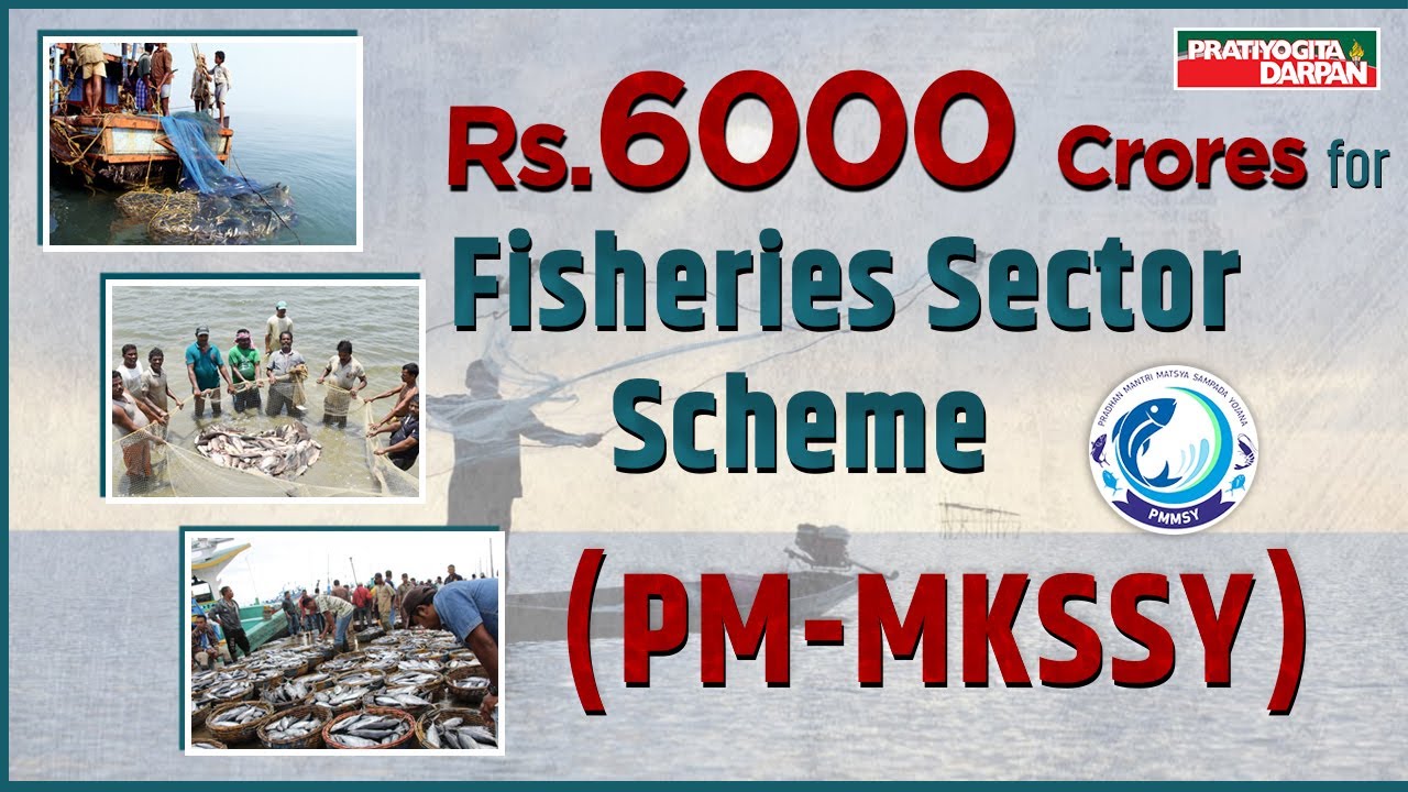 Pradhan Mantri Matsya Kisan Samridhi Sah-Yojana (PM-MKSSY ...