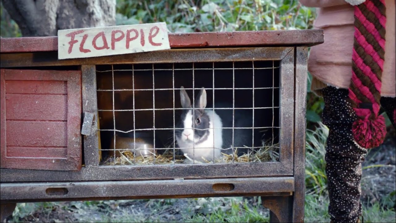 Bol.com Flappie - YouTube