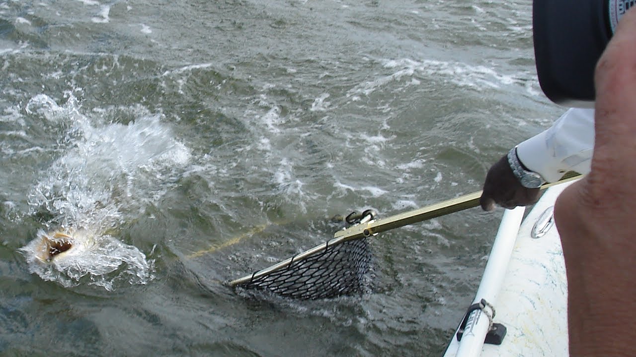 Learn This & You Will Catch More Fish #shorts - YouTube