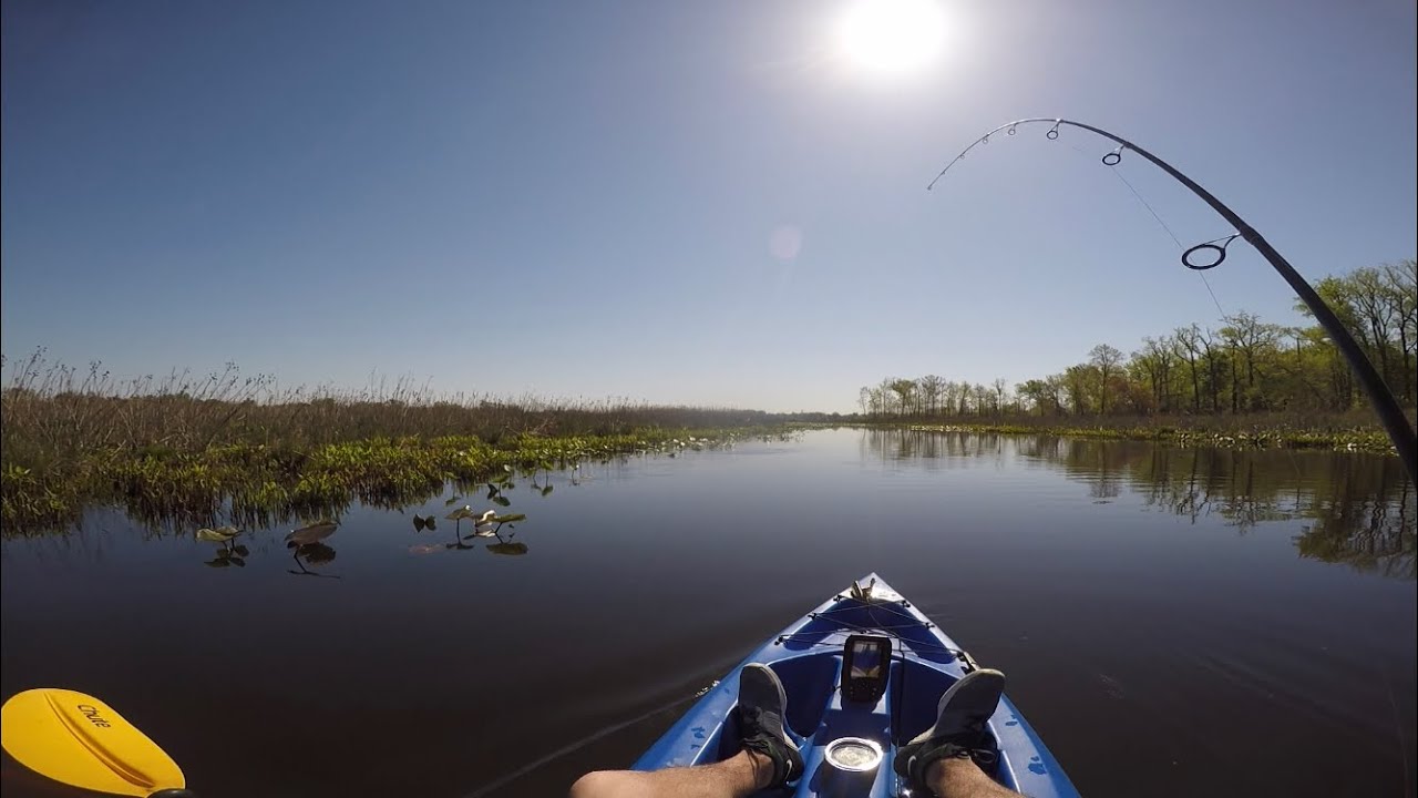 Fishing My Favorite Swamp(First Snakehead Hunt) - YouTube