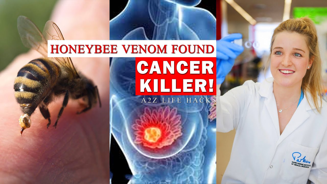 Honeybee Venom Kill Cancer Cells? A2Z Life Hacks - YouTube