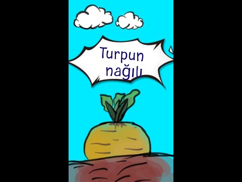 Pəhləvan turp #Turpun nagili azerbaycan dilinde