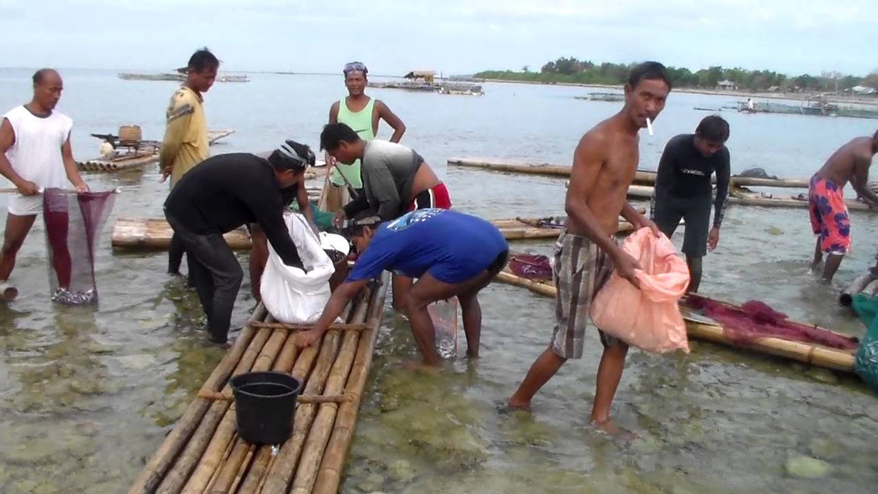 Fishermen of Ilocos sur, Sinait, Dada. norte. part 1 - YouTube