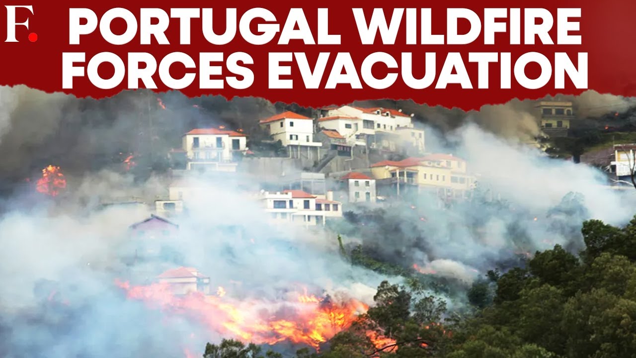 Madeira Wildfire Forces at Least 100 People to Evacuate | FPNews - YouTube