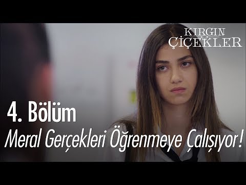 Meral gerçekleri öğrenmeye çalışıyor! - Kırgın Çiçekler 4. Bölüm