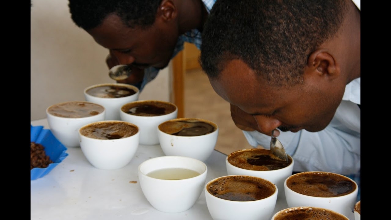 Coffee documentary - YouTube