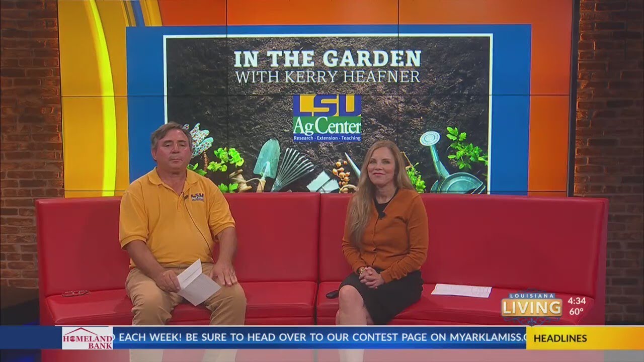 Louisiana Living: In The Garden with Kerry Heafner - YouTube