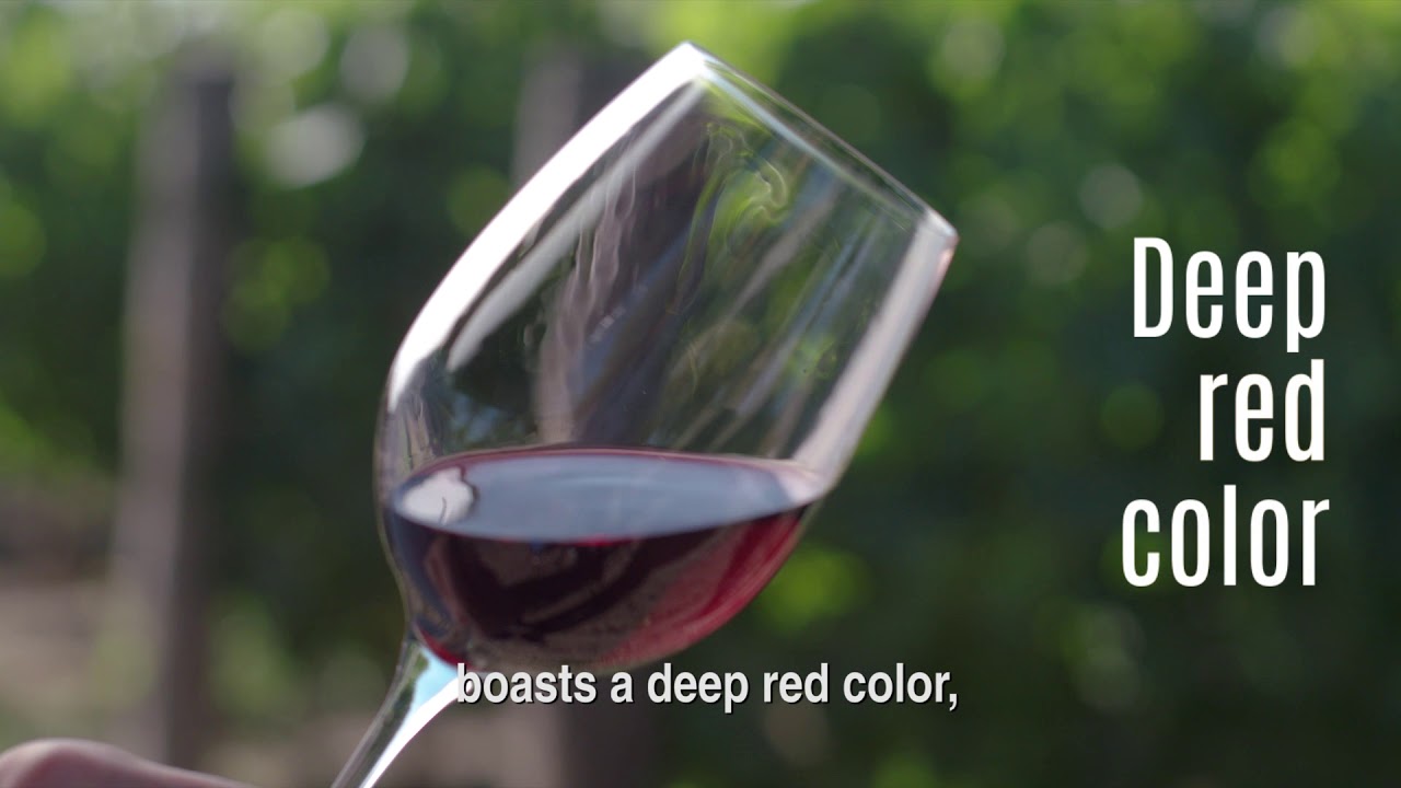 ECCENTRIC WINE - YouTube