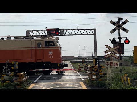 台鐵 554次 莒光號 本務E212電力機車 附掛2節電源行李車 部前寮平交道通過/TRA GE E42C leading Juguang express + 2 power baggage cars