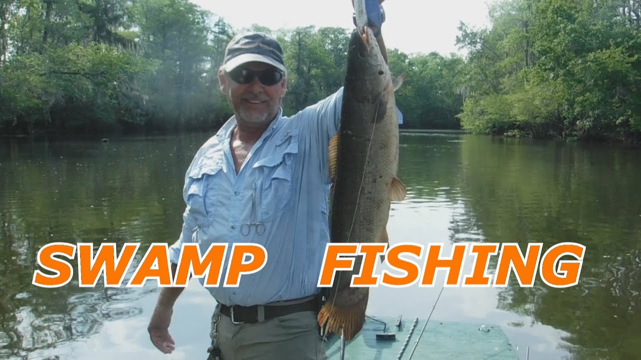 Jiggin' Jerry, Swamp Fishing in South Carolina, 2021 - YouTube
