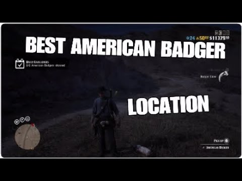 Best American badger location Red Dead Redemtion 2 Online - YouTube