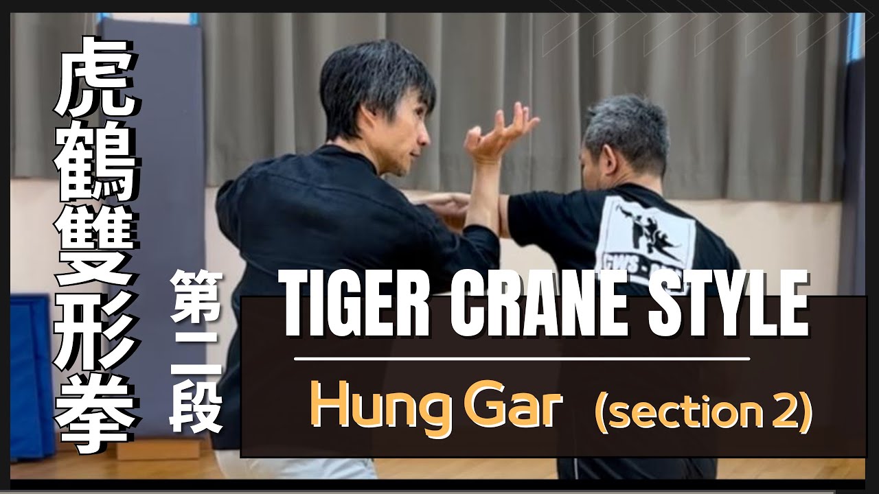 洪家 - 虎鶴雙形拳 第二段 Hung Gar - Tiger Crane Style (section 2) - YouTube