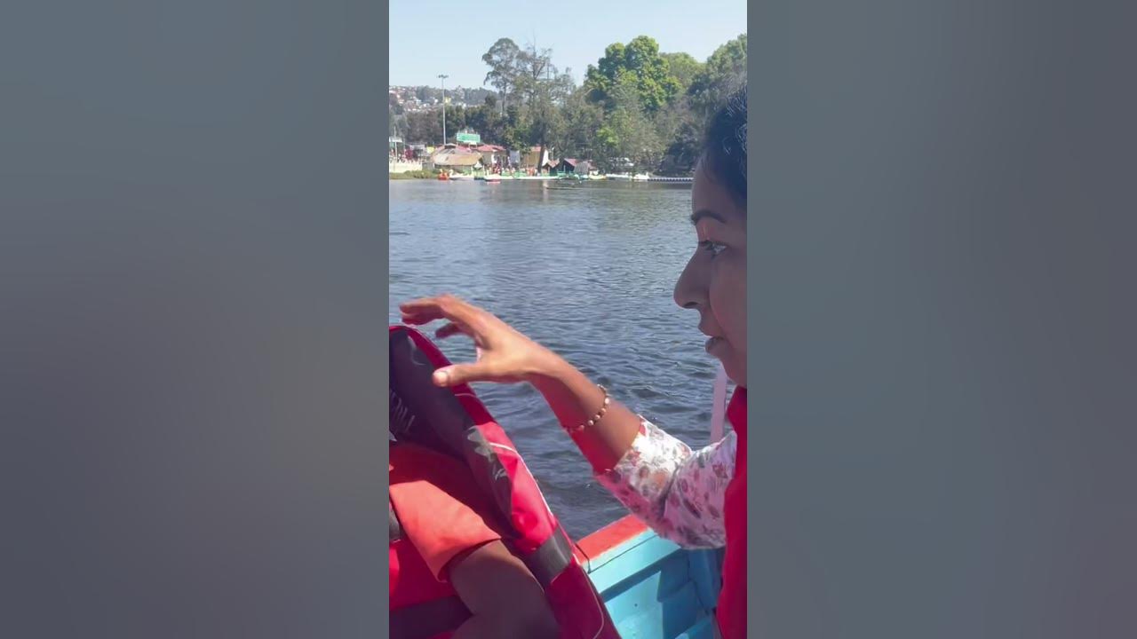 Boating 🛶 Row Row Row Your Boat Youtube