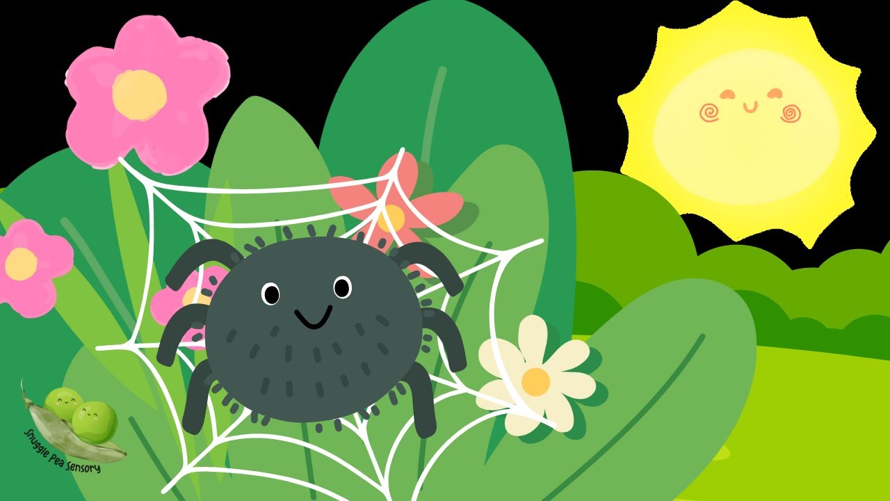 Snuggle Pea Sensory - Itsy Bitsy Spider Baby Sensory - YouTube