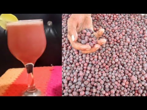 Fresh Falsa Juice & its benefits (Quick & Easy) - YouTube