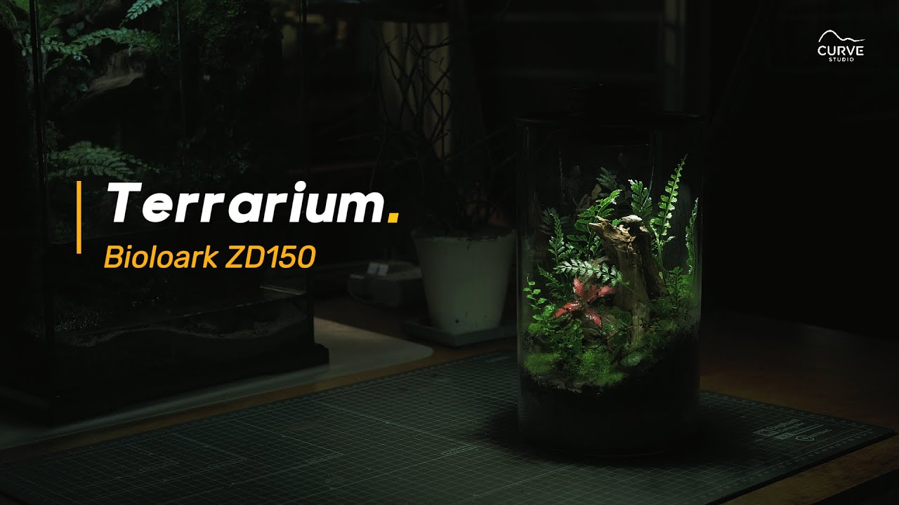 Make a Terrarium จัดสวนขวด Bioloark ZD150 - YouTube