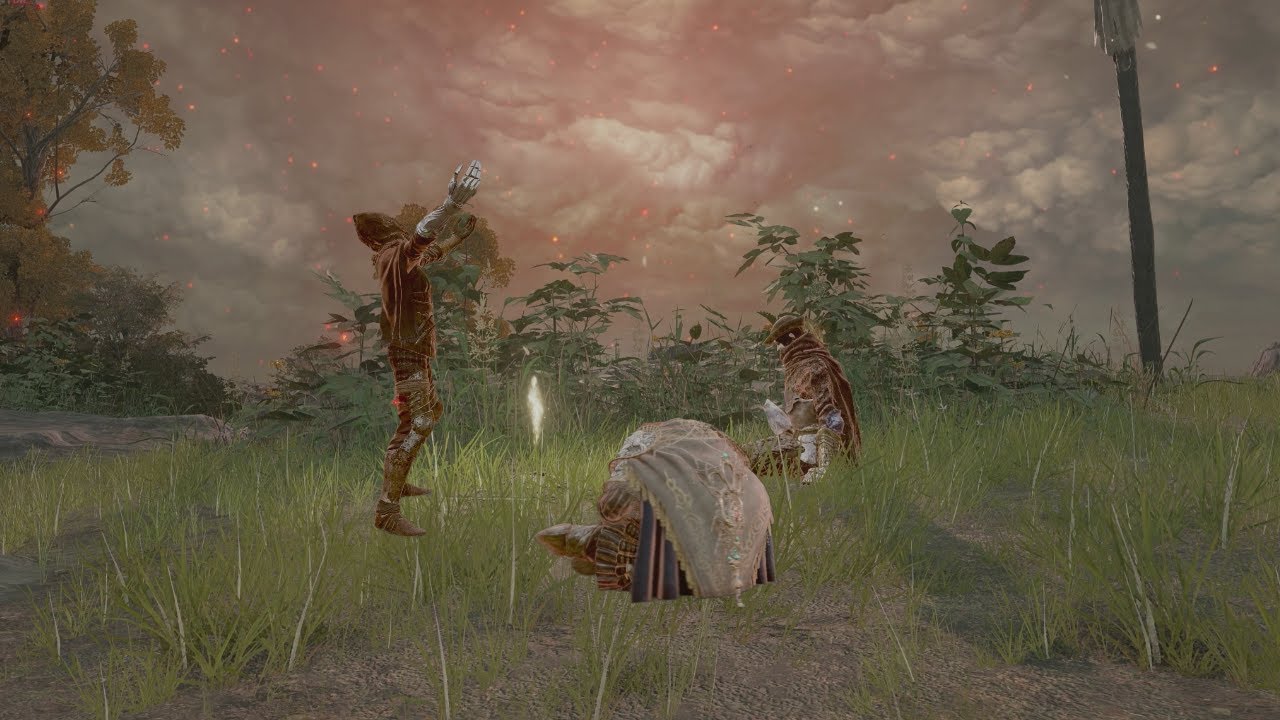 Average Yellow | Elden Ring | Pvp/Invasions - YouTube