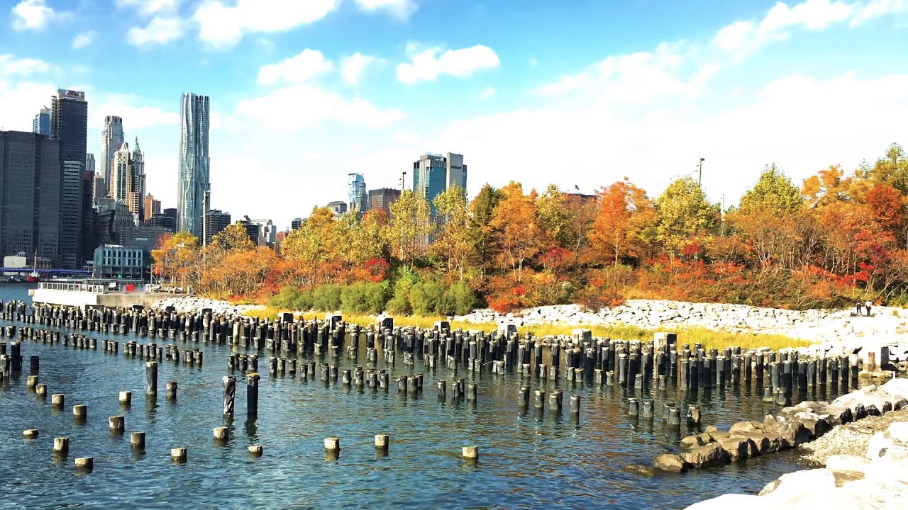 New York City Dumbo park part 1 - YouTube
