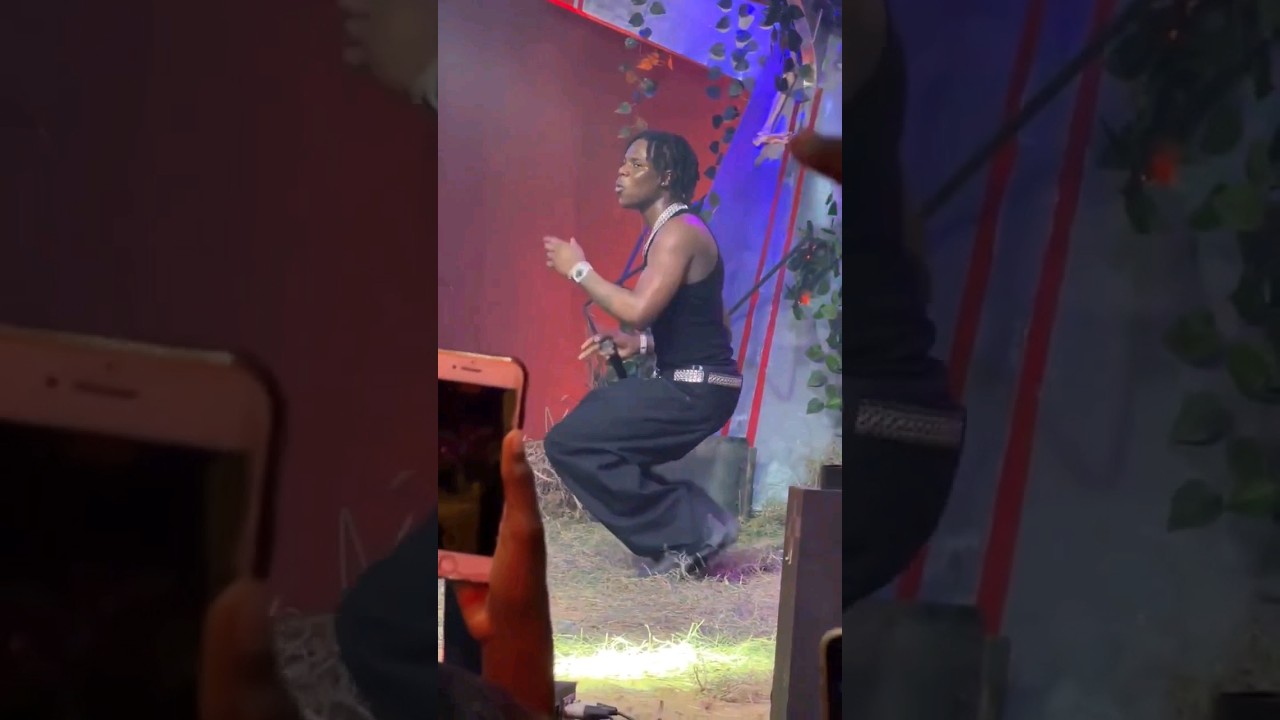 Rema Surprises Fans With His Incredible New Dance Move As He Performs ...