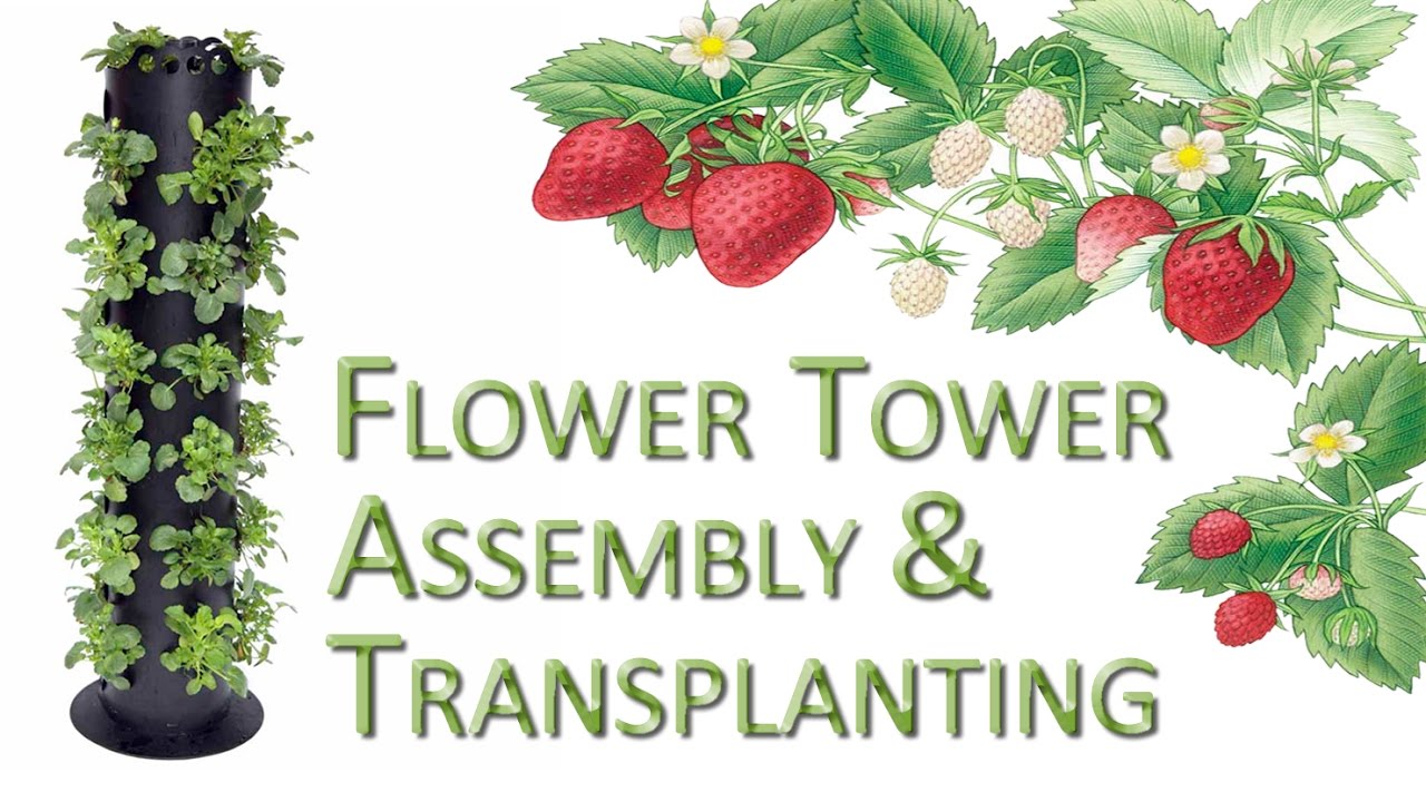 The Flower Tower For Growing Strawberries - YouTube