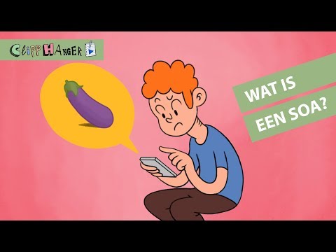 Wat is een soa?