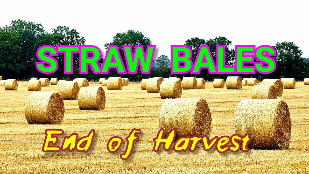 Beautiful Straw Bales - YouTube