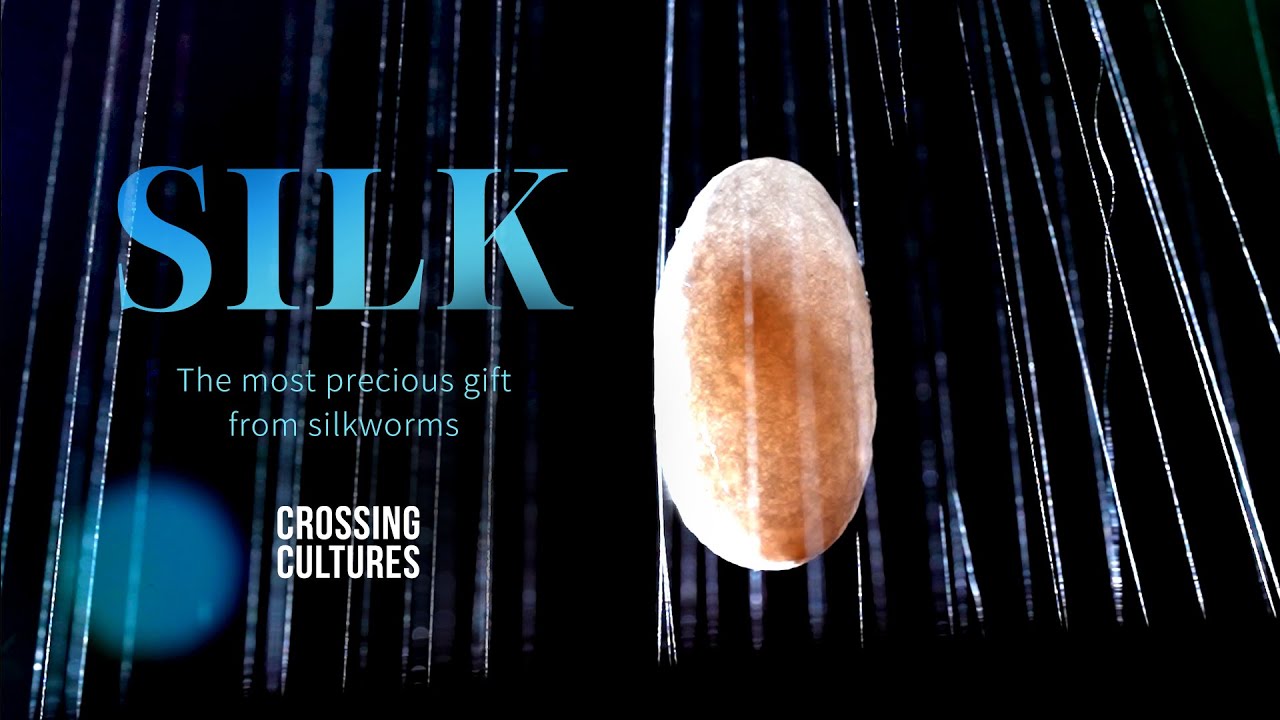 Silk: The most precious gift from silkworms - YouTube