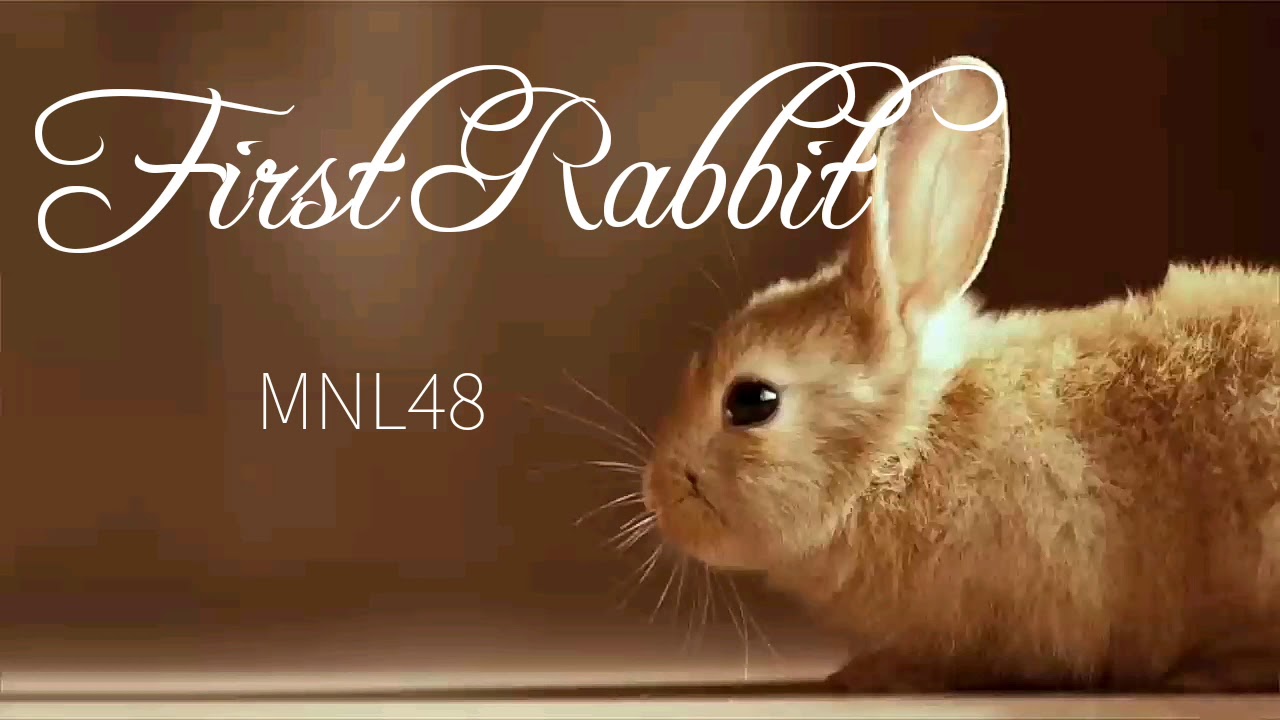 [ MNL48 ] First Rabbit Lyric Video - YouTube