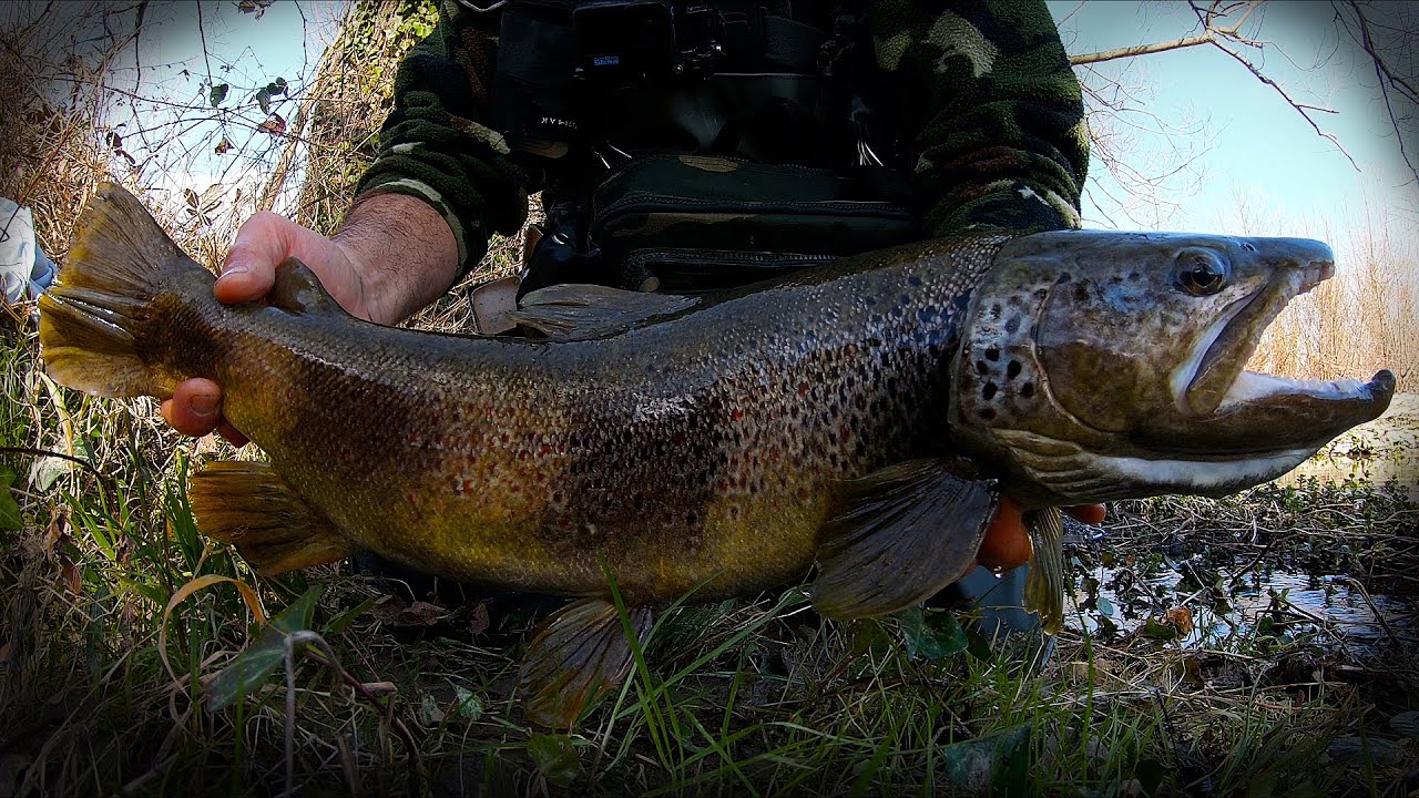 fario.Ep108 - YouTube