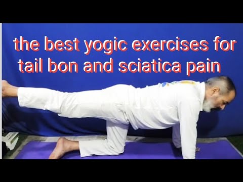 exercise for tail bon and back pain - YouTube