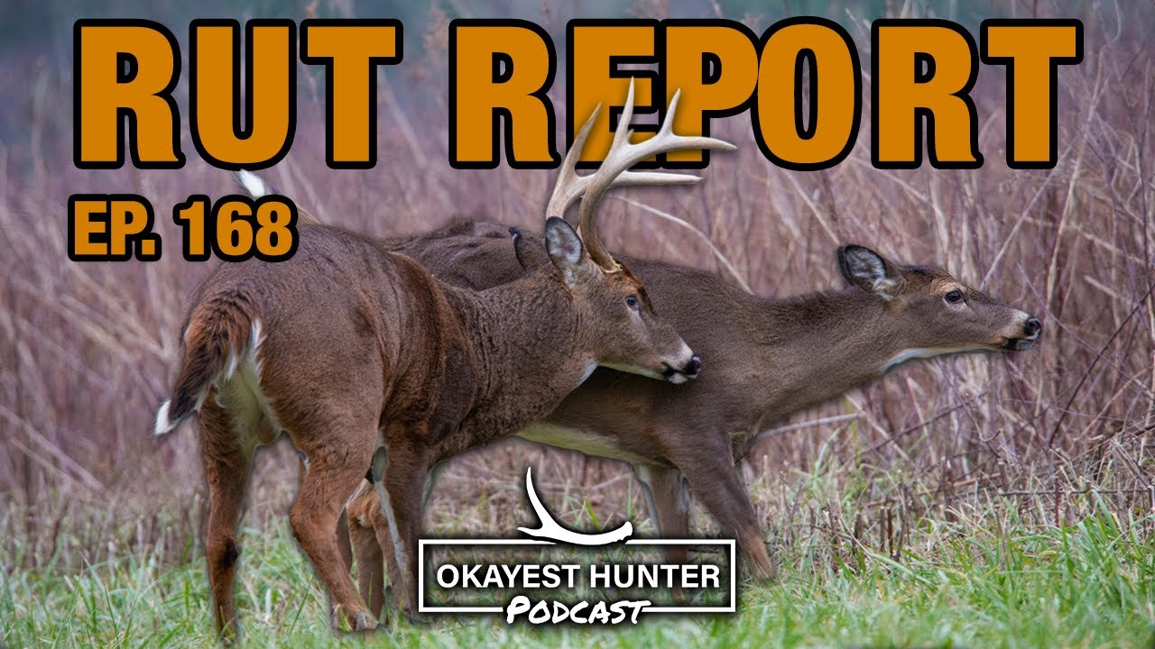 The Rut Report: What the Deer Are Telling You - YouTube