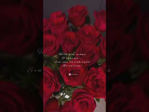 #nurli_xilqat #motivatsiya #shorts #status #hikoya #aforizm #ayrılık #azob #sevgi #sevgilim #books