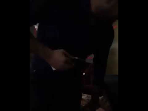 Perviz bulbule turkan yeni2018