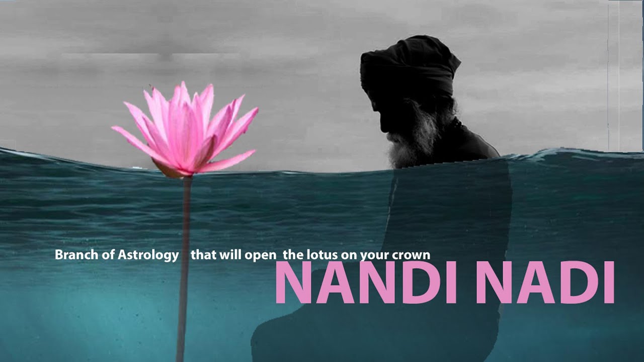How to make Combinations in Nandi Nadi Astrology for career - YouTube