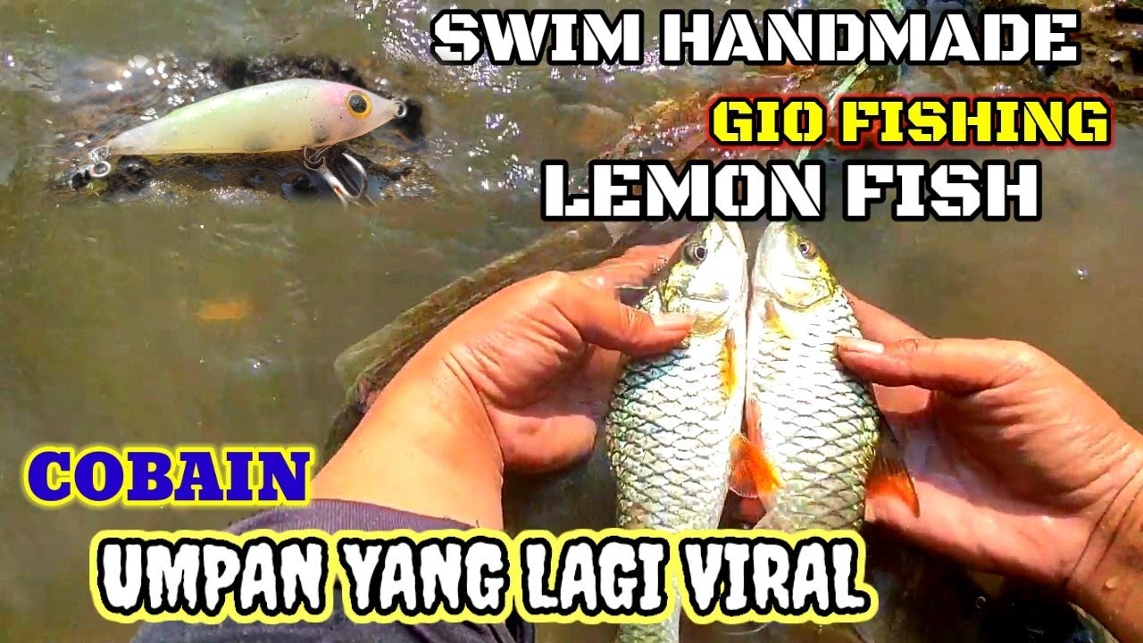 SWIMMER LEMON FISH HANDMADE GIO FISHING - YouTube