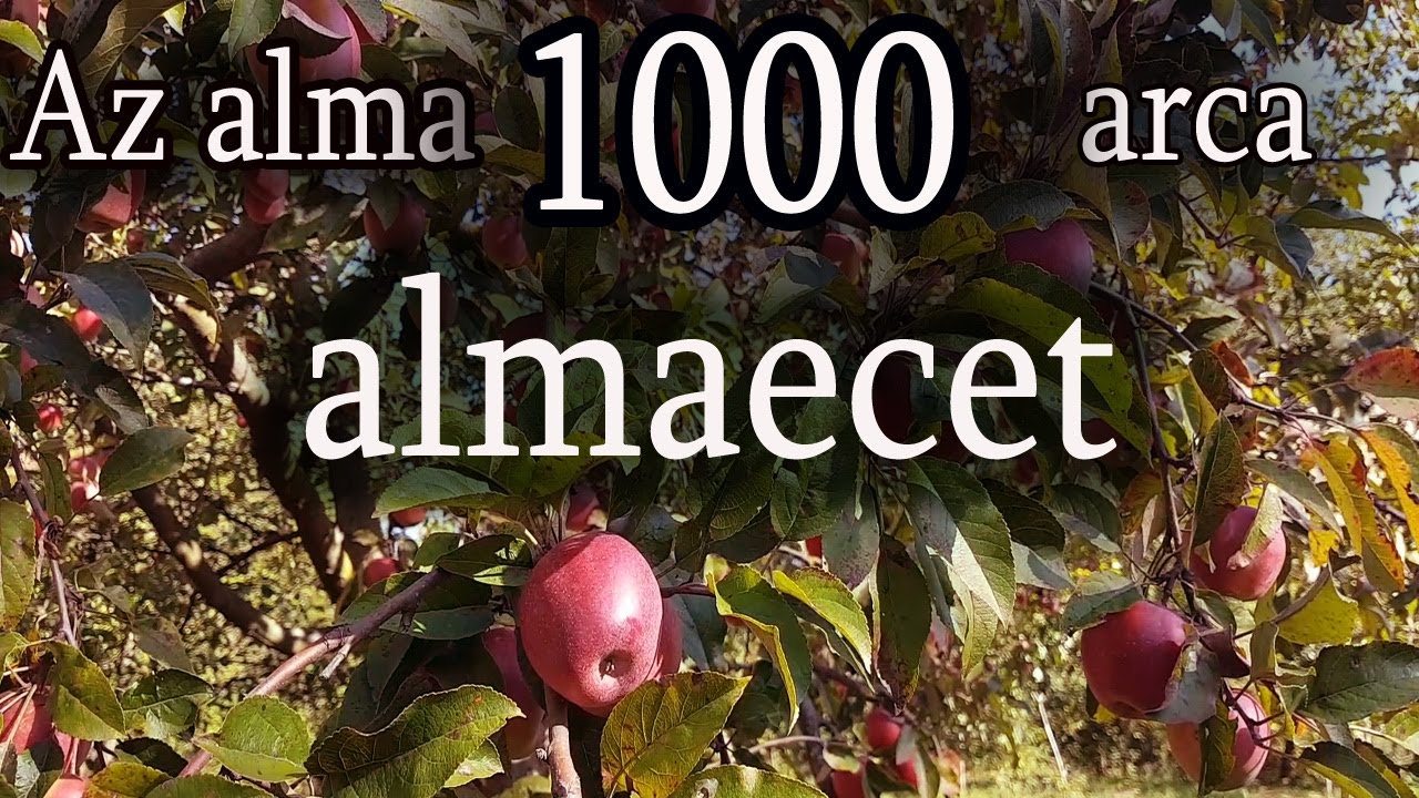 Az alma 1000 arca, az almaecet - YouTube
