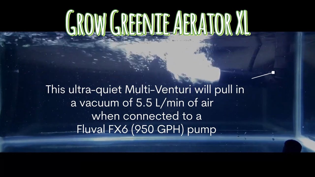 The Grow Greenie Aerator XL Venturi valve #rioxingu #growgreenie # ...