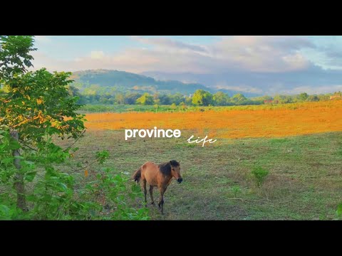 vlog | aesthetic province life | morning walk🚶,holy week tradition💒 ...