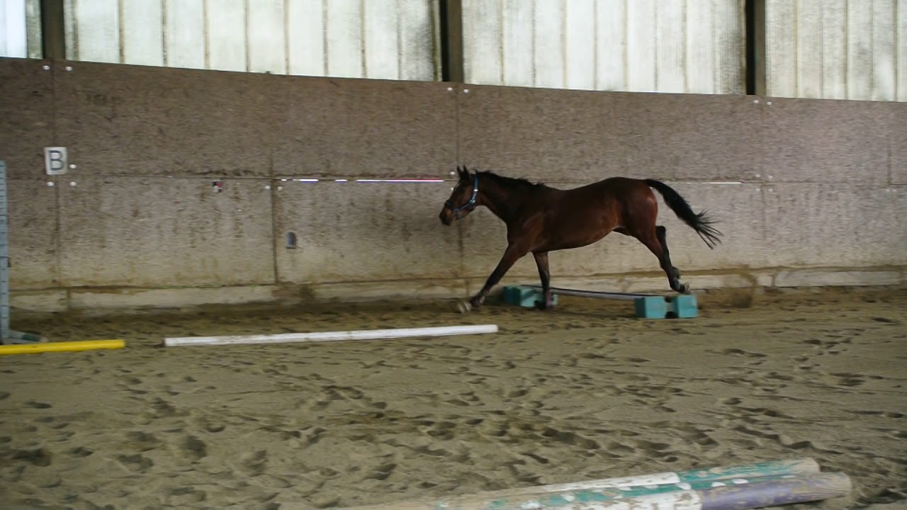 lisdeen girl - YouTube