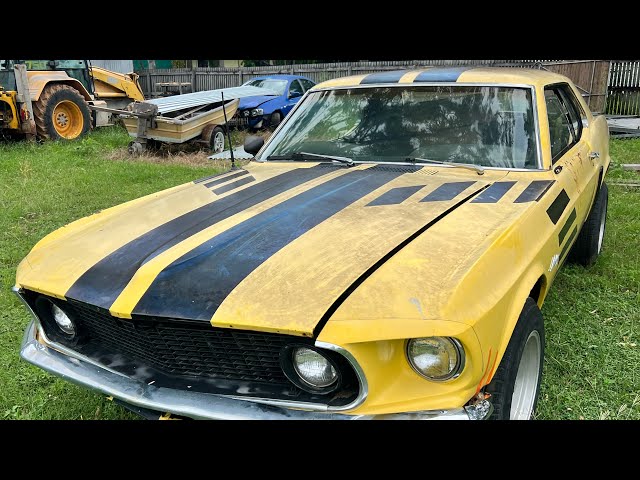 Bumblebee Mustang Old
