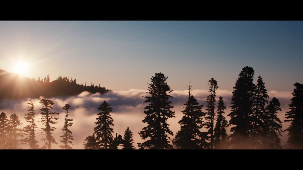 გურიის ეროვნული პარკის დაარსება - Creation of Guria National Park - YouTube