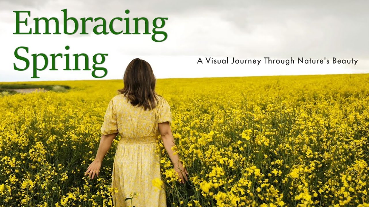 Relaxing Spring Park Walk In 4K: A Visual Tour Of Nature's Blossoms ...