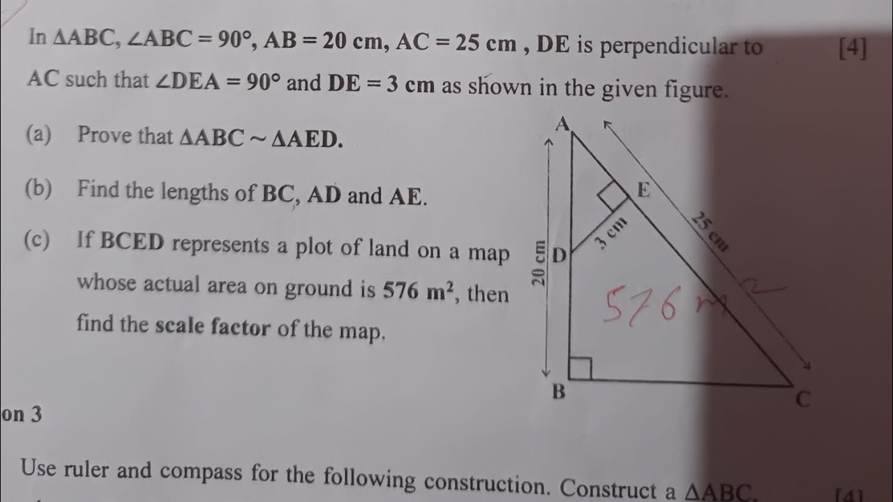 ICSE 2025 maths paper solution with step marking(Banking and similarity ...