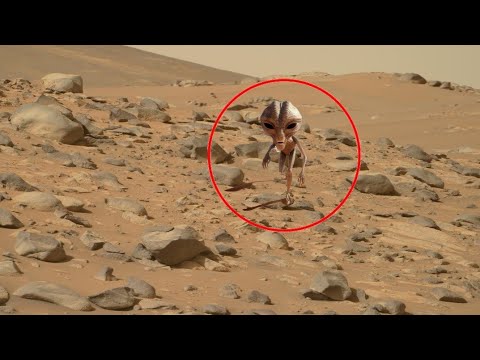 NASA Mars 4k Perseverance Rover Sol - 1040 | Mars Live | Live Mars ...
