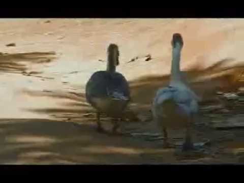 Filme Gasy  LEFADEFAKA N°1