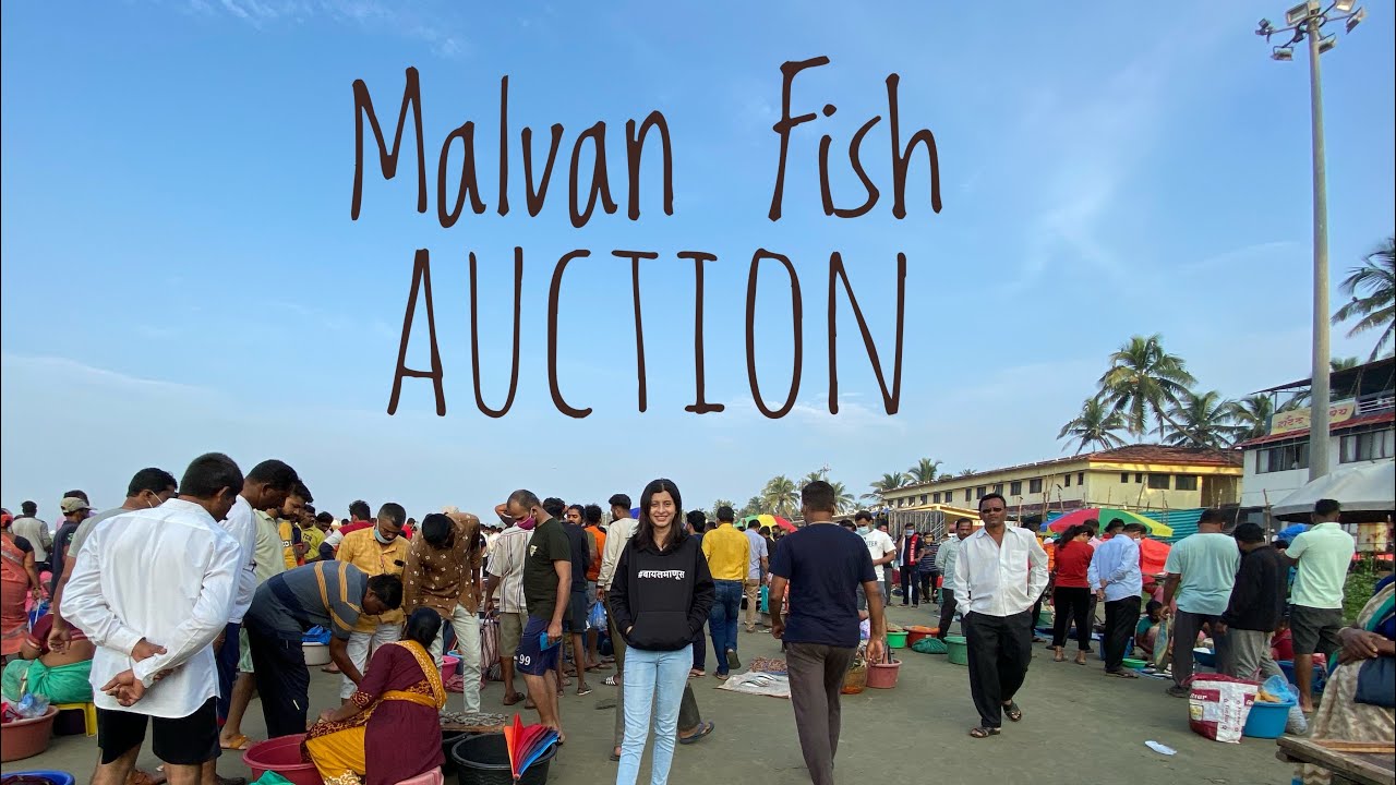 मालवण मासे लिलाव | Malvan fish auction | Malvan fish market ...