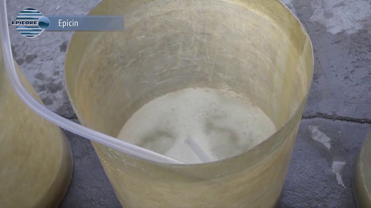 EPICIN-HATCHERIES REMOVEDOR DE AMÔNIA E NITRITO - YouTube