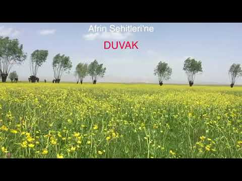 Dursun Ali Erzincanlı - Duvak (ZeytinDalı Harekatı Afrin Şehitlerimizi saygı ve rahmetle anıyoruz.)
