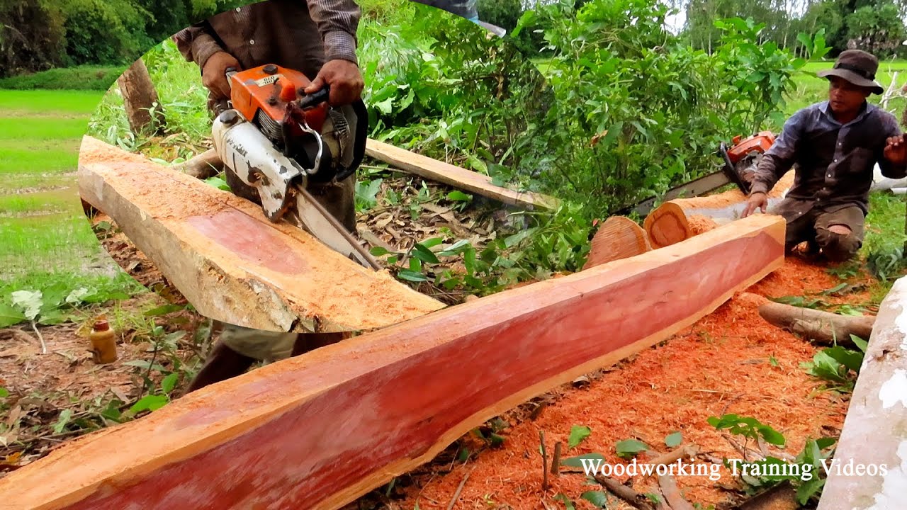 Beautiful Woodworking Cutting Machines Sound Effect! Chainsaw Cutting ...