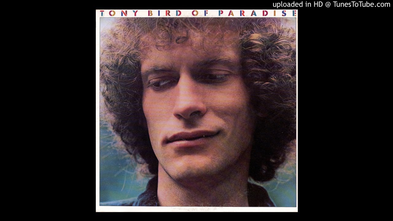 Tony Bird's Instagram, Twitter & Facebook on IDCrawl